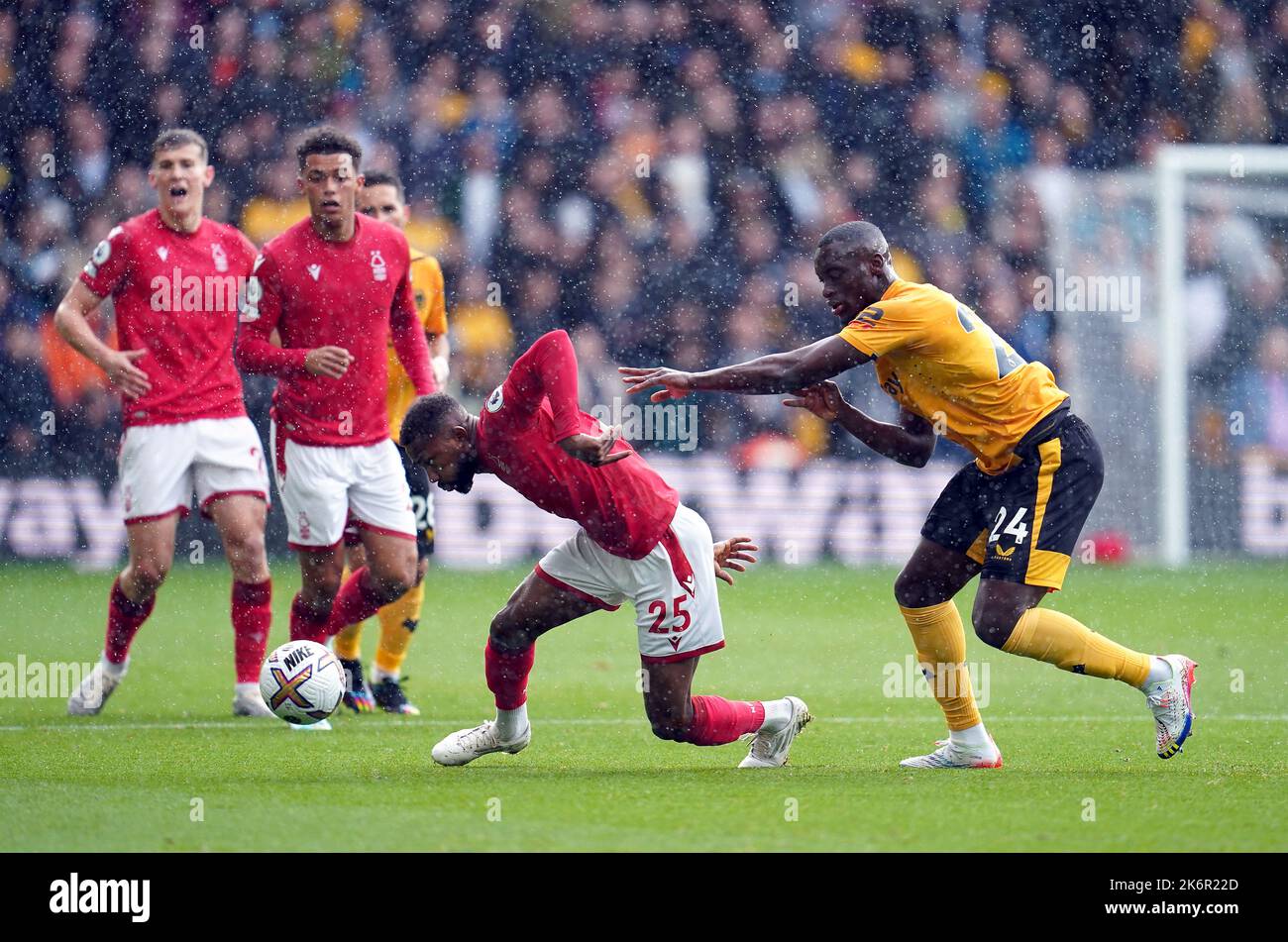 Toti gomes wolves hi-res stock photography and images - Alamy