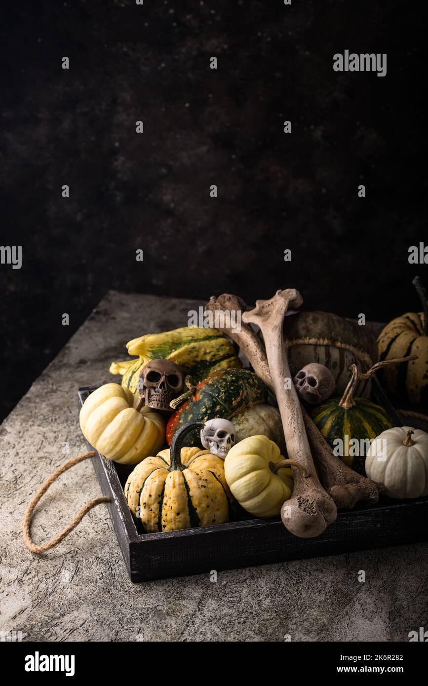 Halloween still life with pumpkin and skull Stock Photo - Alamy