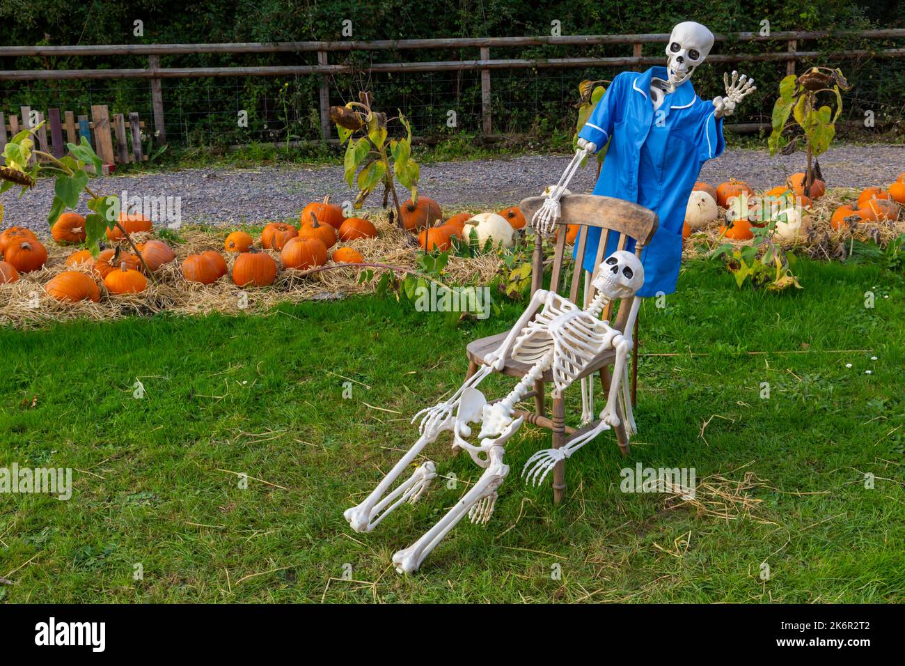 Sunnyfields farm hi-res stock photography and images - Alamy