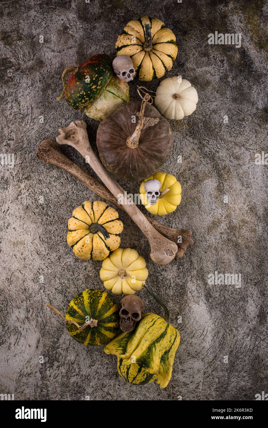 Halloween still life with pumpkin and skull Stock Photo - Alamy