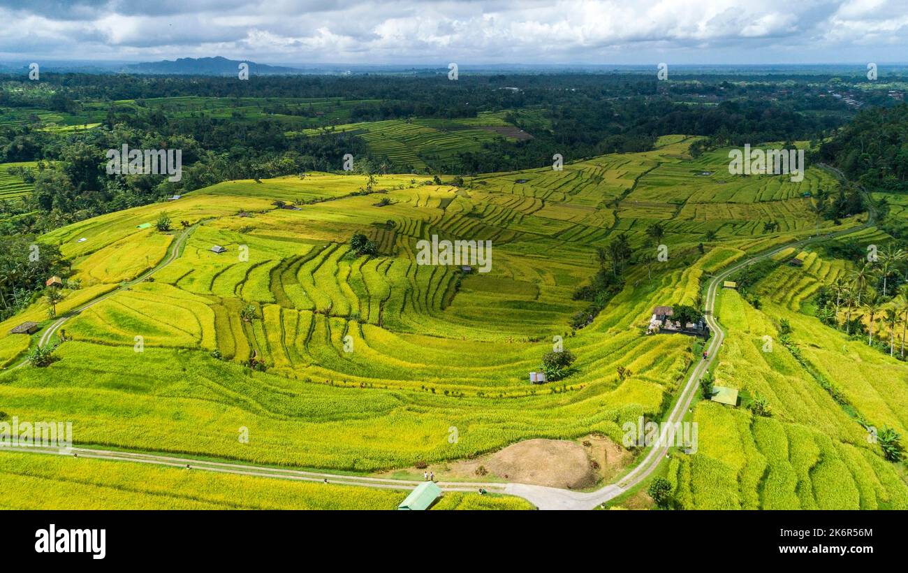 Beautiful Jatiluwih Rice Terraces field in Bali Indonesia aerial view ...