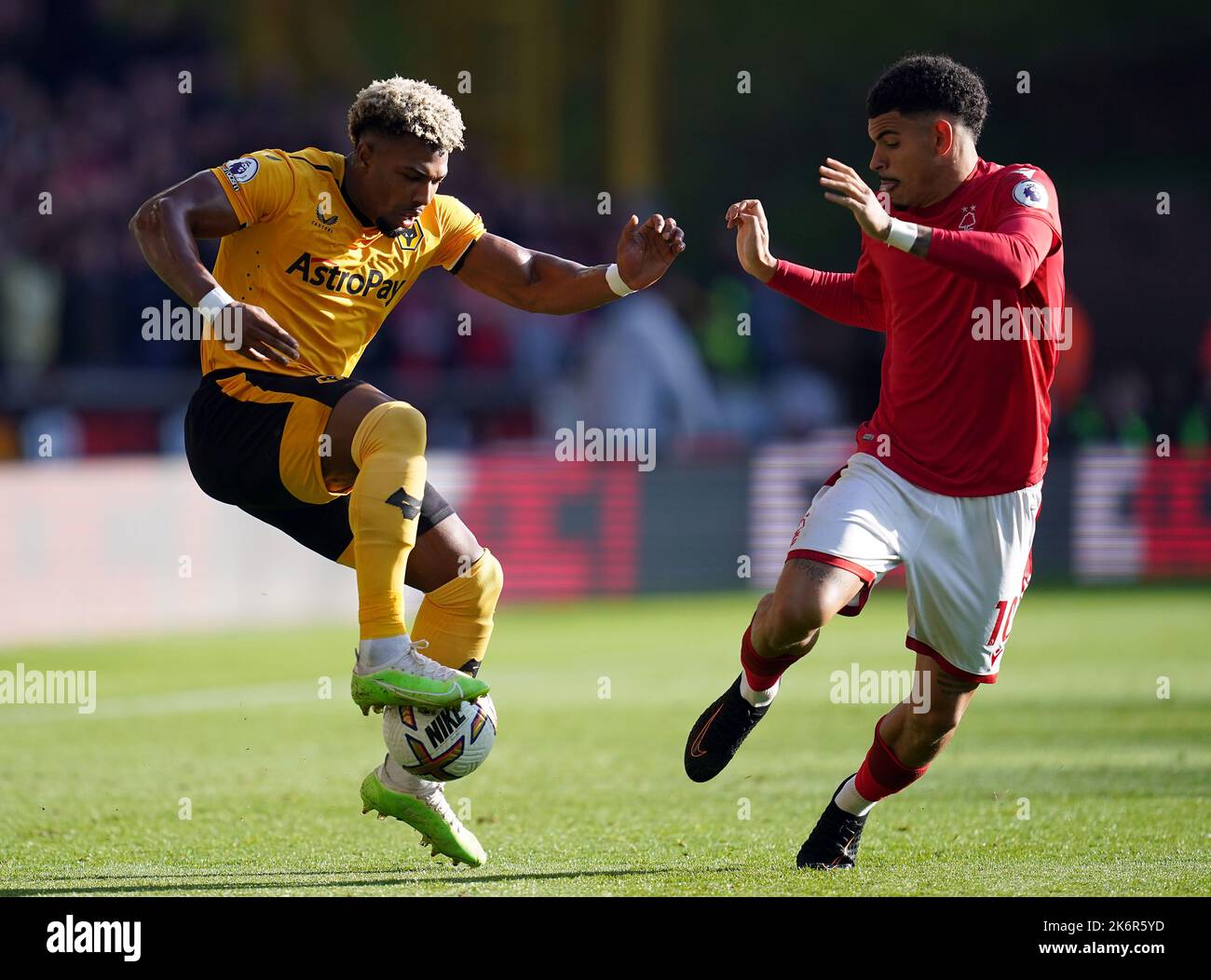 Morgan gibbs white wolves 2022 hi-res stock photography and images - Alamy