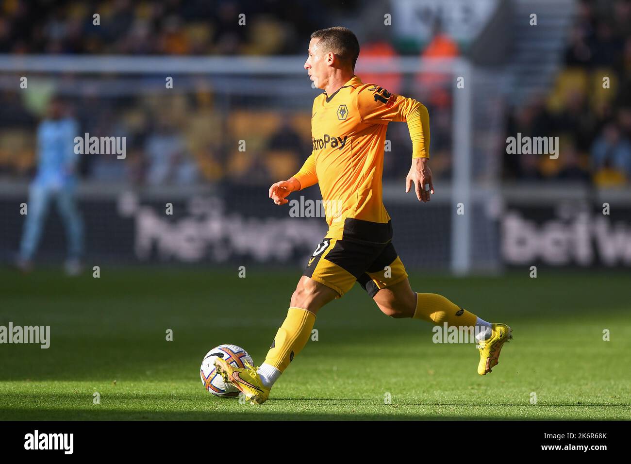 Daniel podence forest hi-res stock photography and images - Alamy