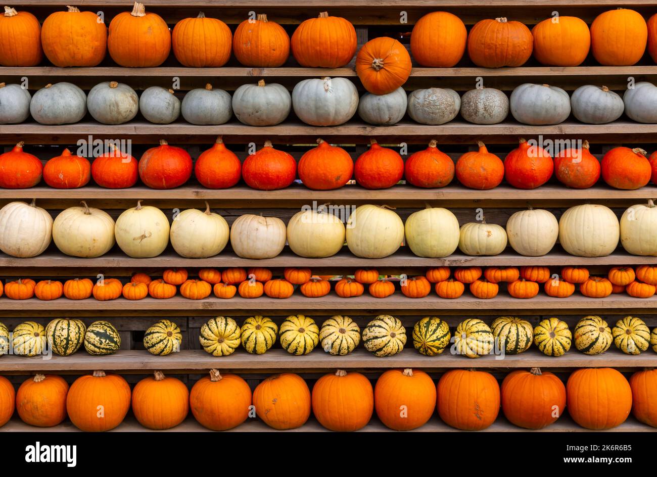 Part halloween display in hi-res stock photography and images - Alamy