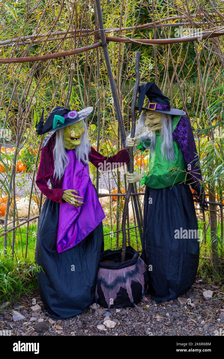 Witches cauldron hi-res stock photography and images - Alamy