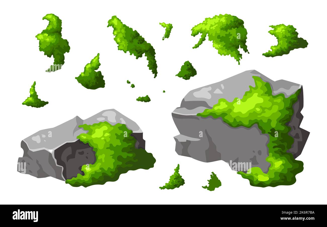 Rock with moss and lichen Stock Vector Images - Alamy