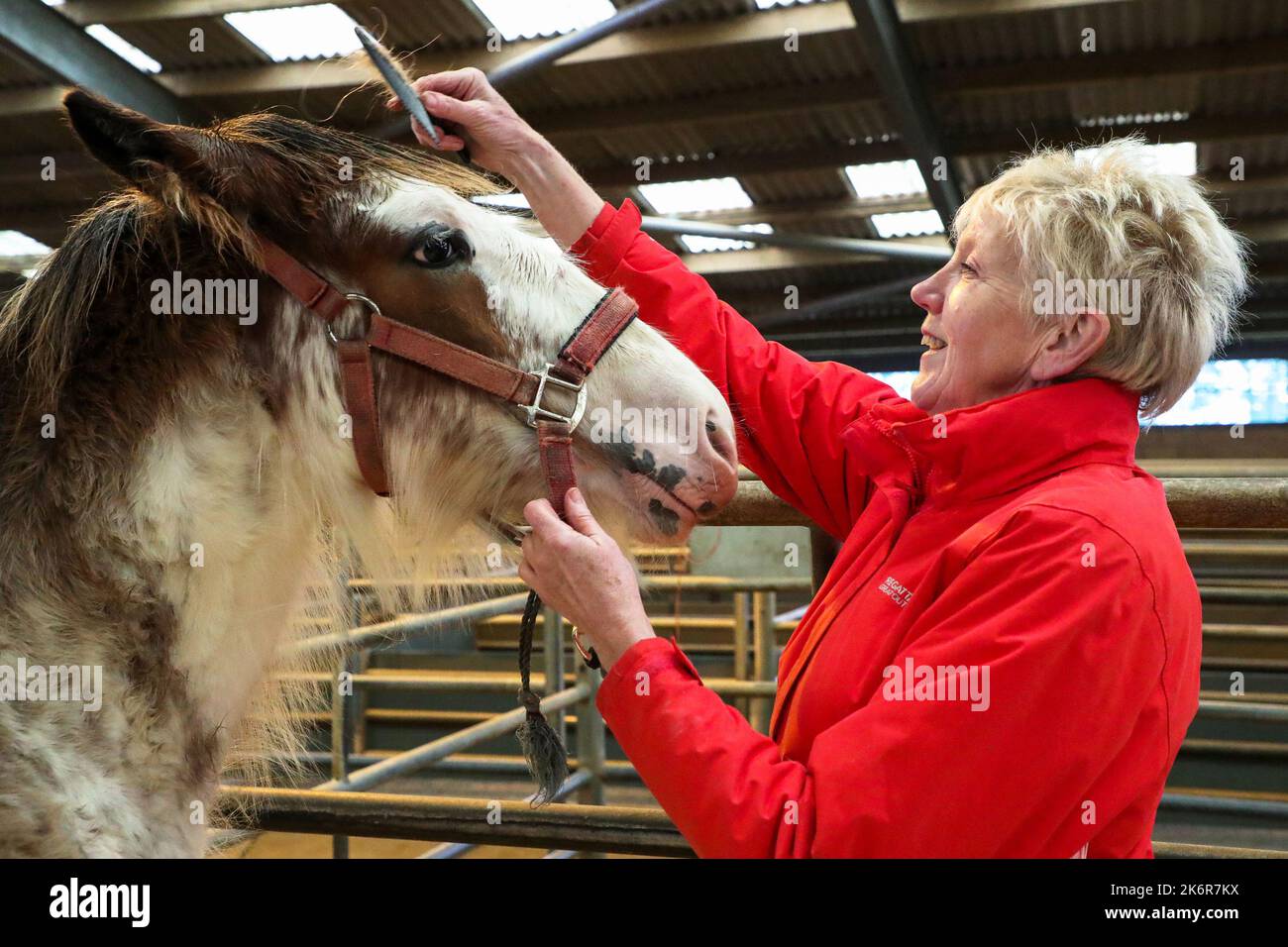 Jean hamilton hi-res stock photography and images - Alamy