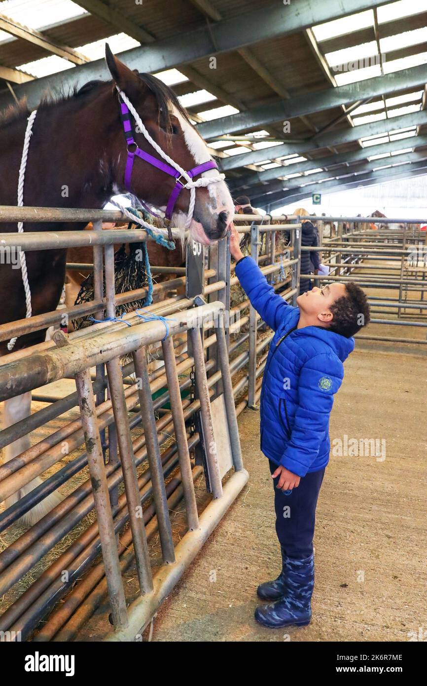 Judging kid contest hi-res stock photography and images - Alamy