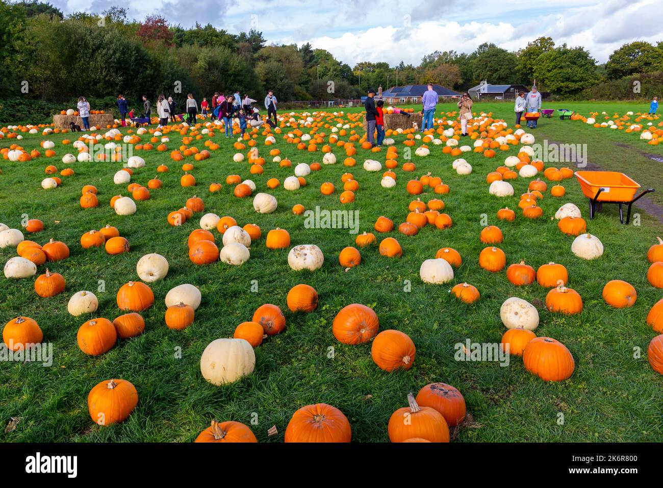 Sunnyfields farm hi-res stock photography and images - Alamy