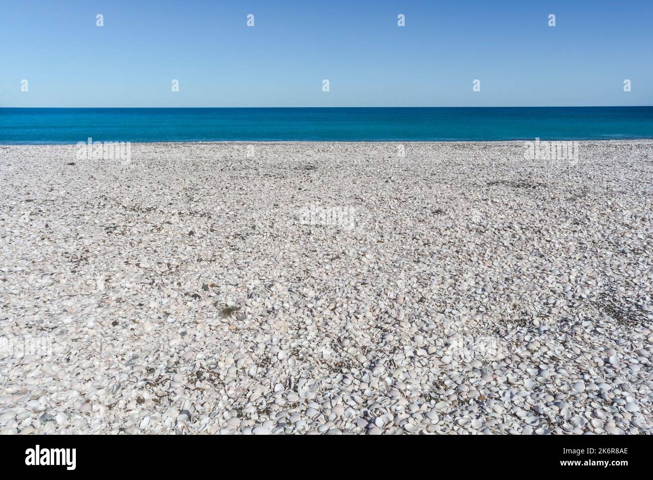 Caleta Valdes landescape, Peninsula Valdes chubut province Patagonia ...