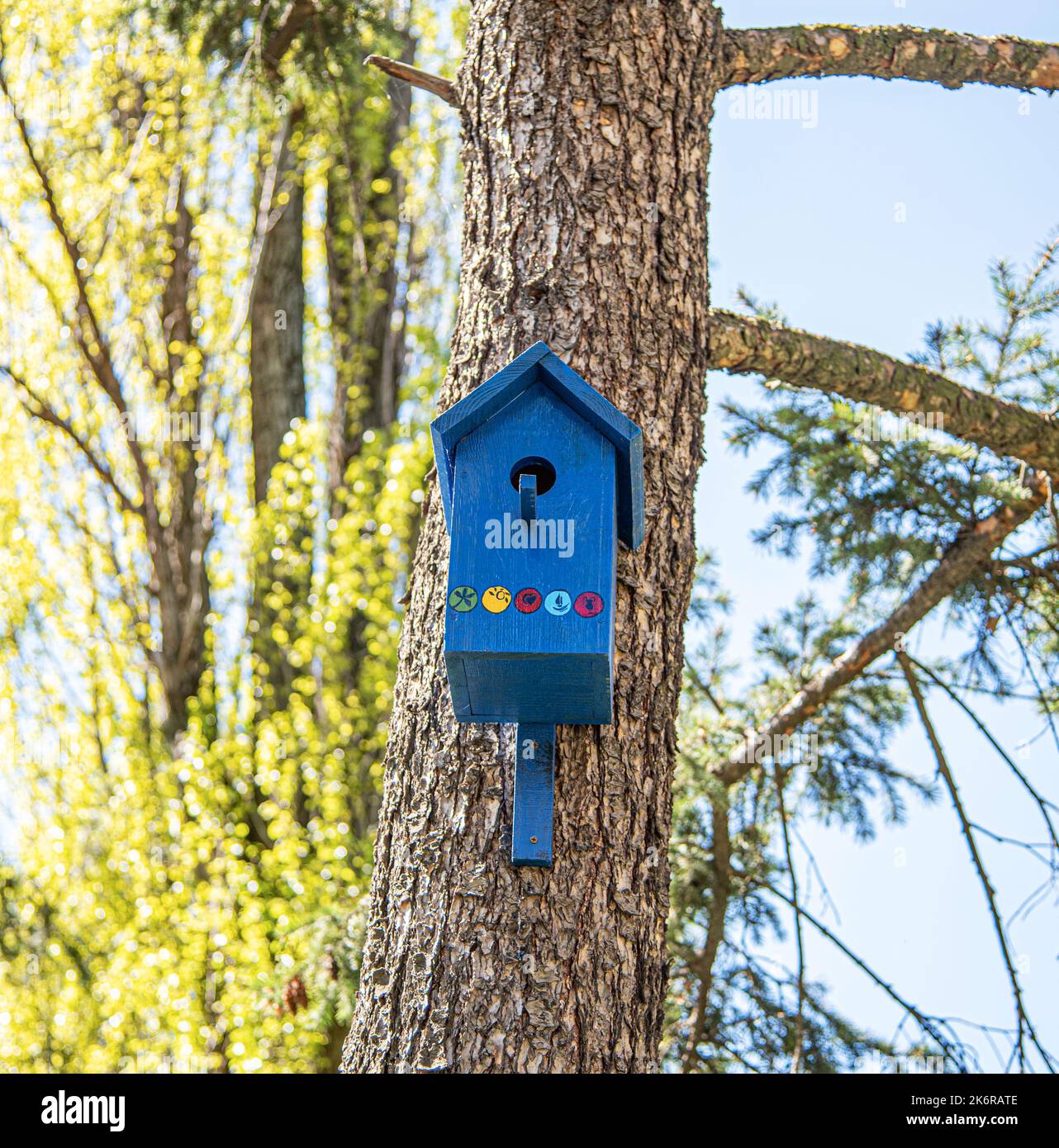 Wooden birdhouse for birds on a tree Stock Photo - Alamy