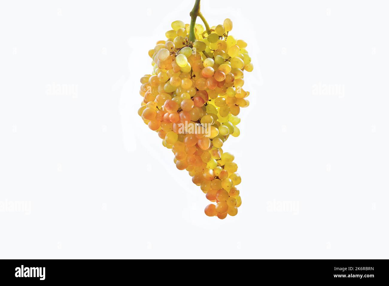bunch of light grapes on white background - isolated - delicious sweet ...