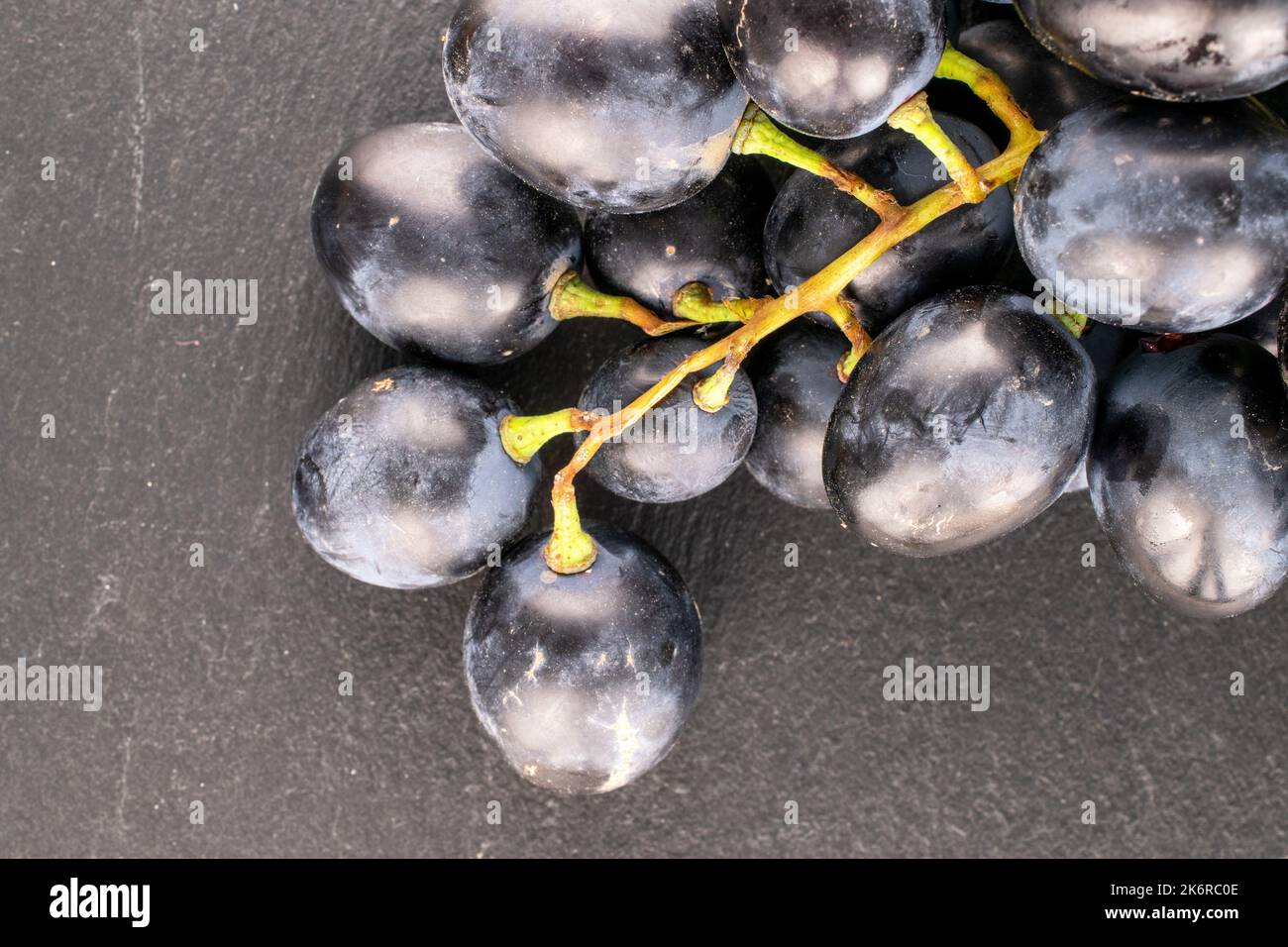 One sprig of sweet black grapes on slate stone, macro, top view Stock Photo - Alamy