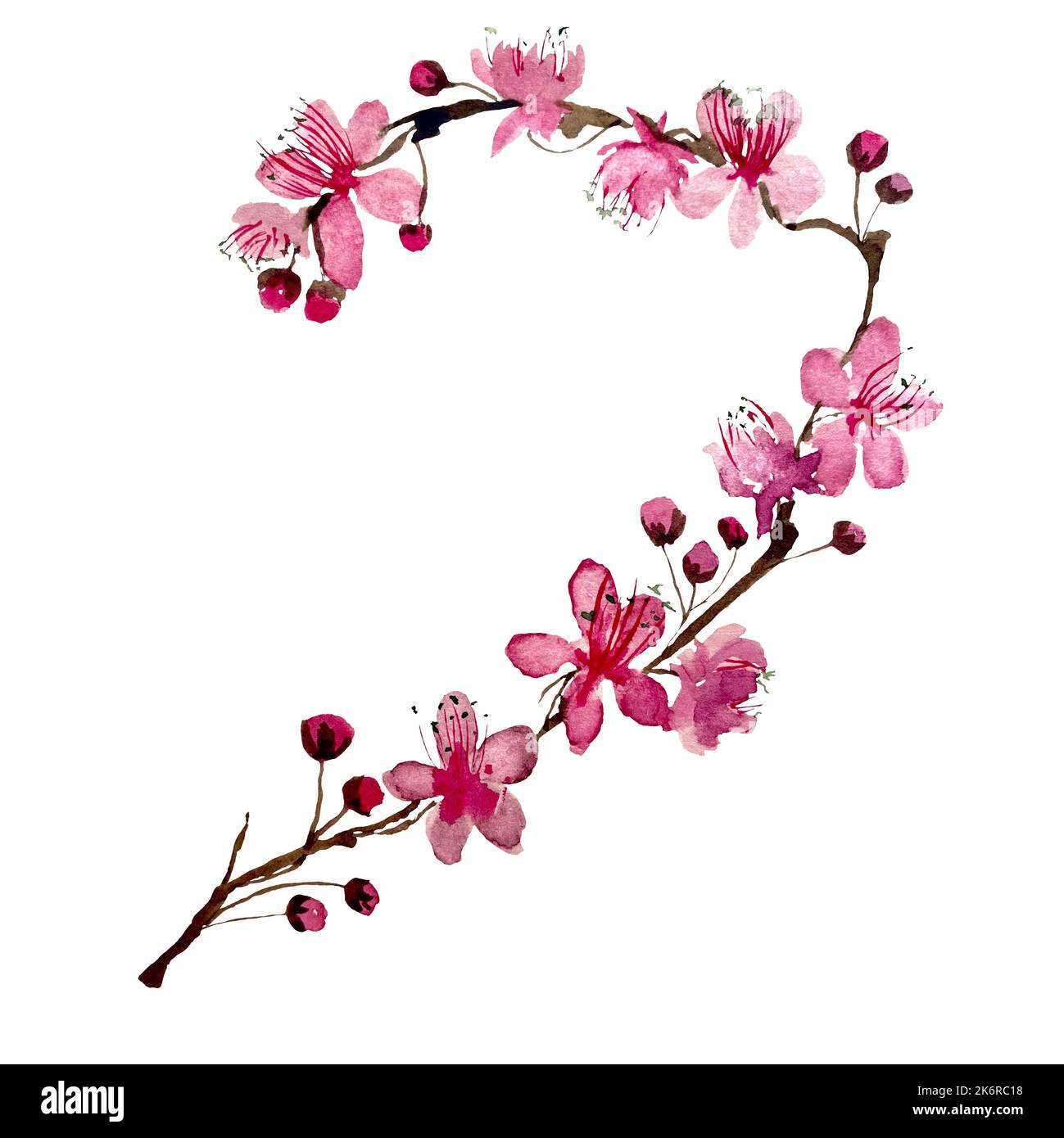 a nice pink sakura japan watercolor illustration Stock Photo - Alamy
