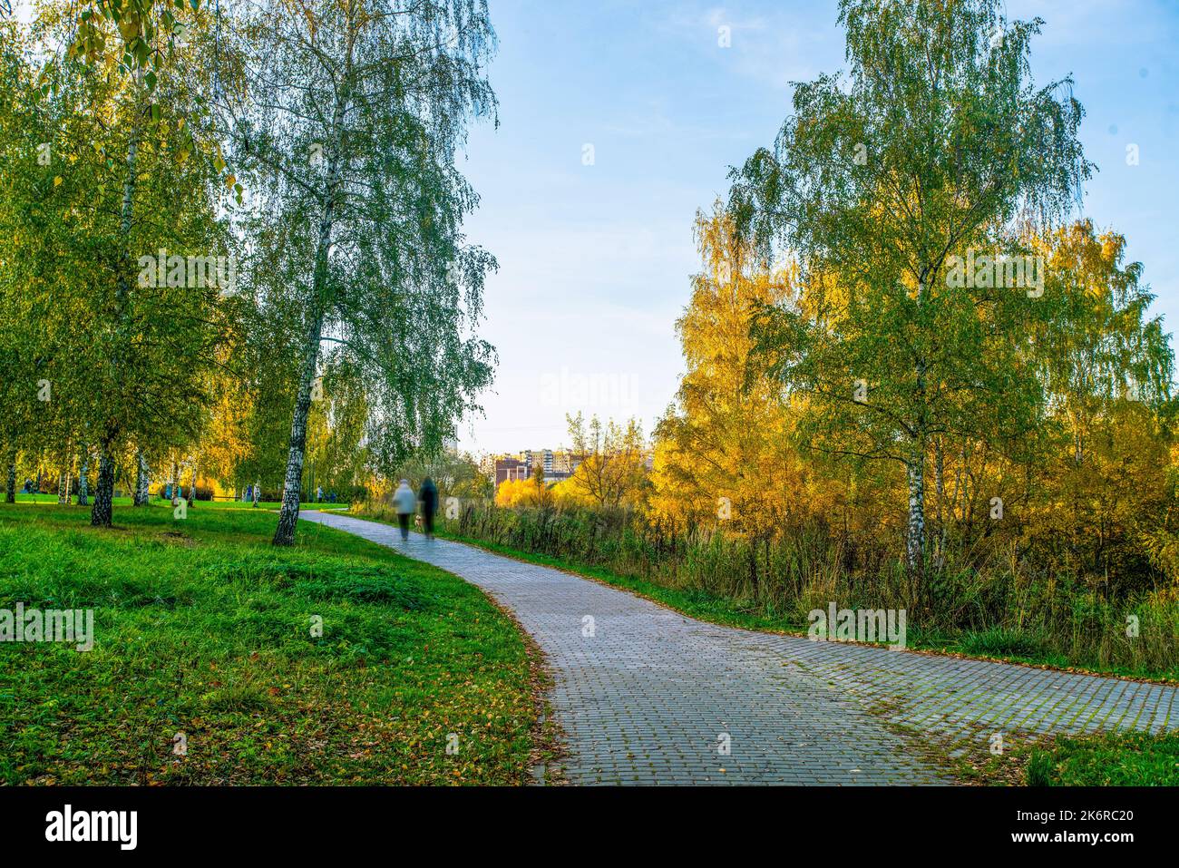 People walkinf in Mitino Landscape park in amazing autumn leaf color ...