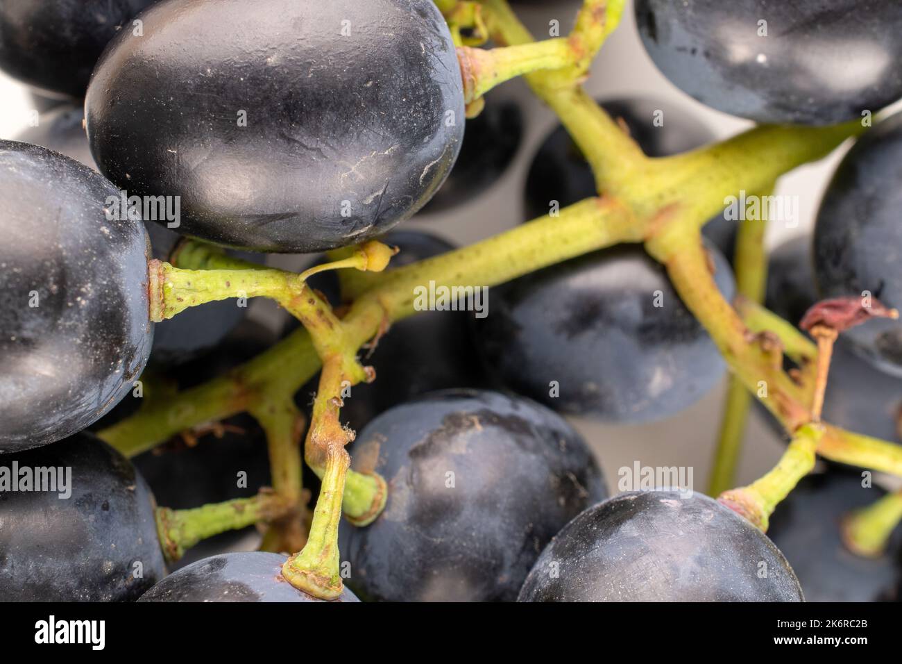 One sprig of sweet black grapes, macro, top view Stock Photo - Alamy