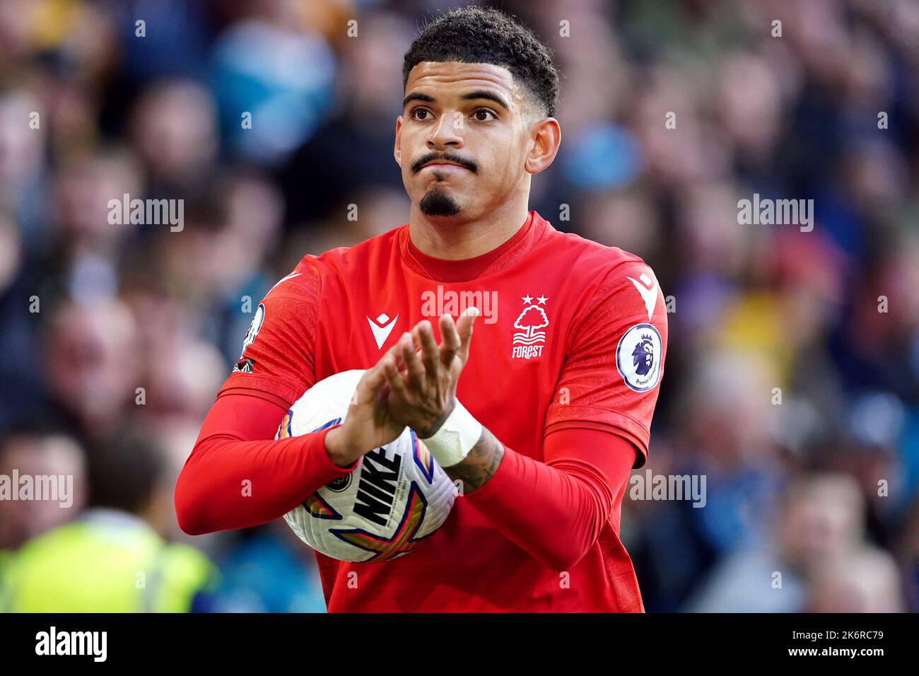Gibbs white 2022 wolves hi-res stock photography and images - Alamy