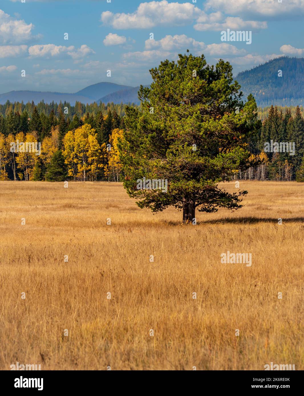 Kintla lake and glacier hi-res stock photography and images - Alamy