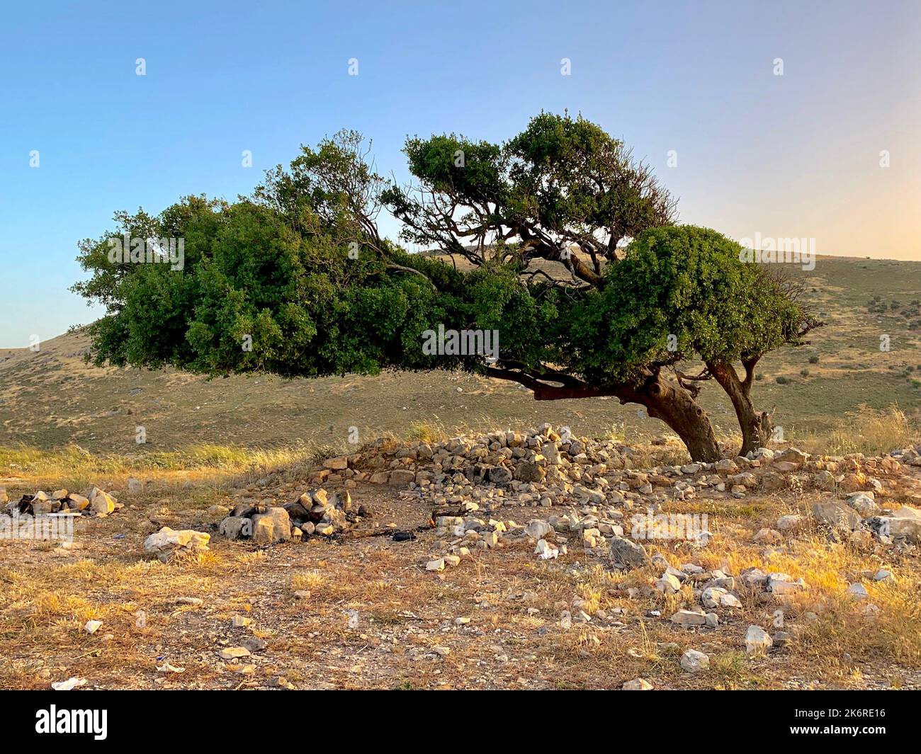 Nablus hi-res stock photography and images - Alamy