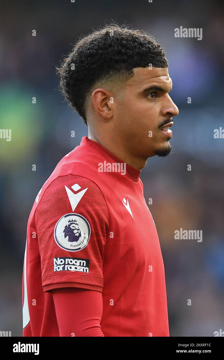Morgan gibbs white 2022 hi-res stock photography and images - Alamy