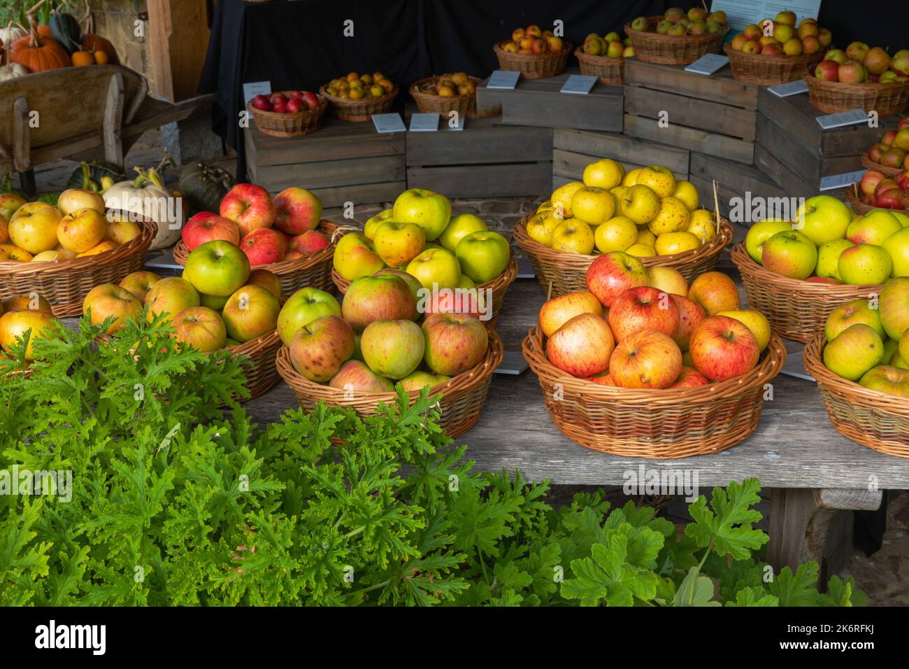 Apple fruit display hi-res stock photography and images - Alamy