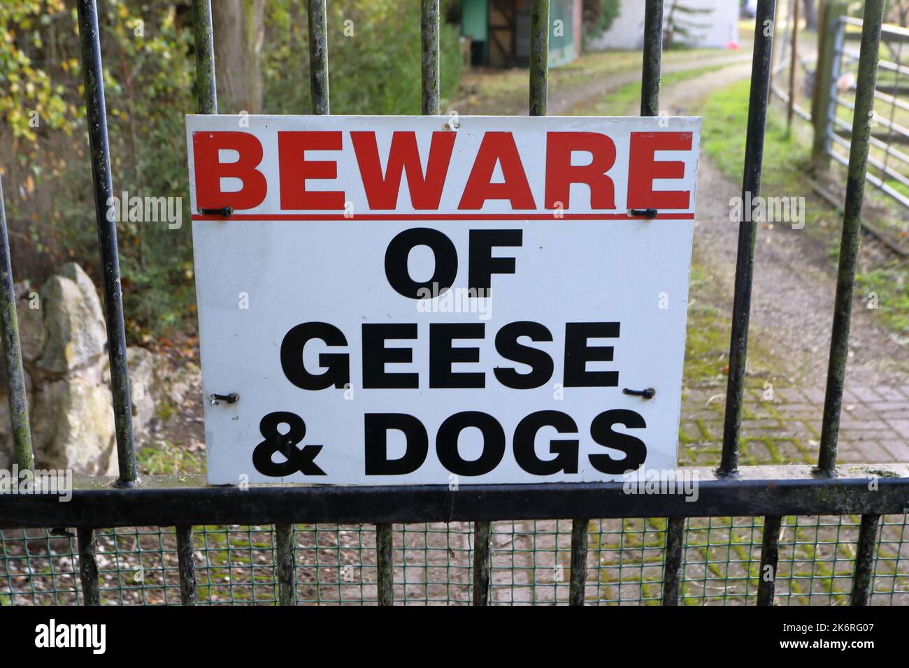 Geese warning sign hi-res stock photography and images - Alamy