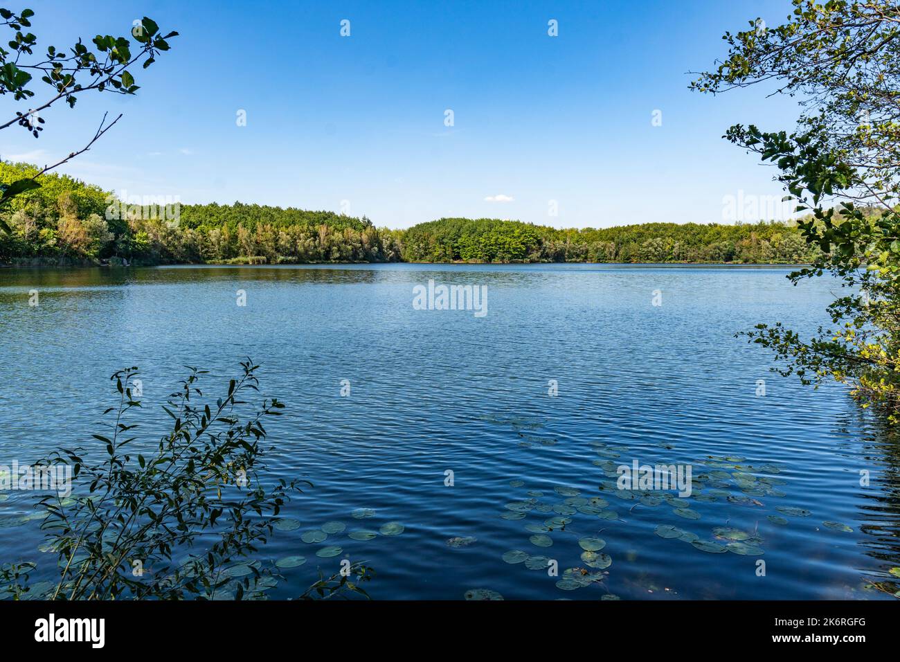 The Untersee or lower lake of the ville chain of lakes in the summer ...