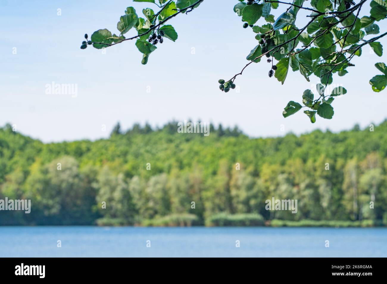 The Untersee or lower lake of the ville chain of lakes in the summer ...