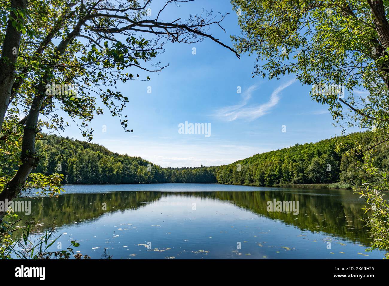 The Obersee lake of the ville chain of lakes in the summer near cologne ...