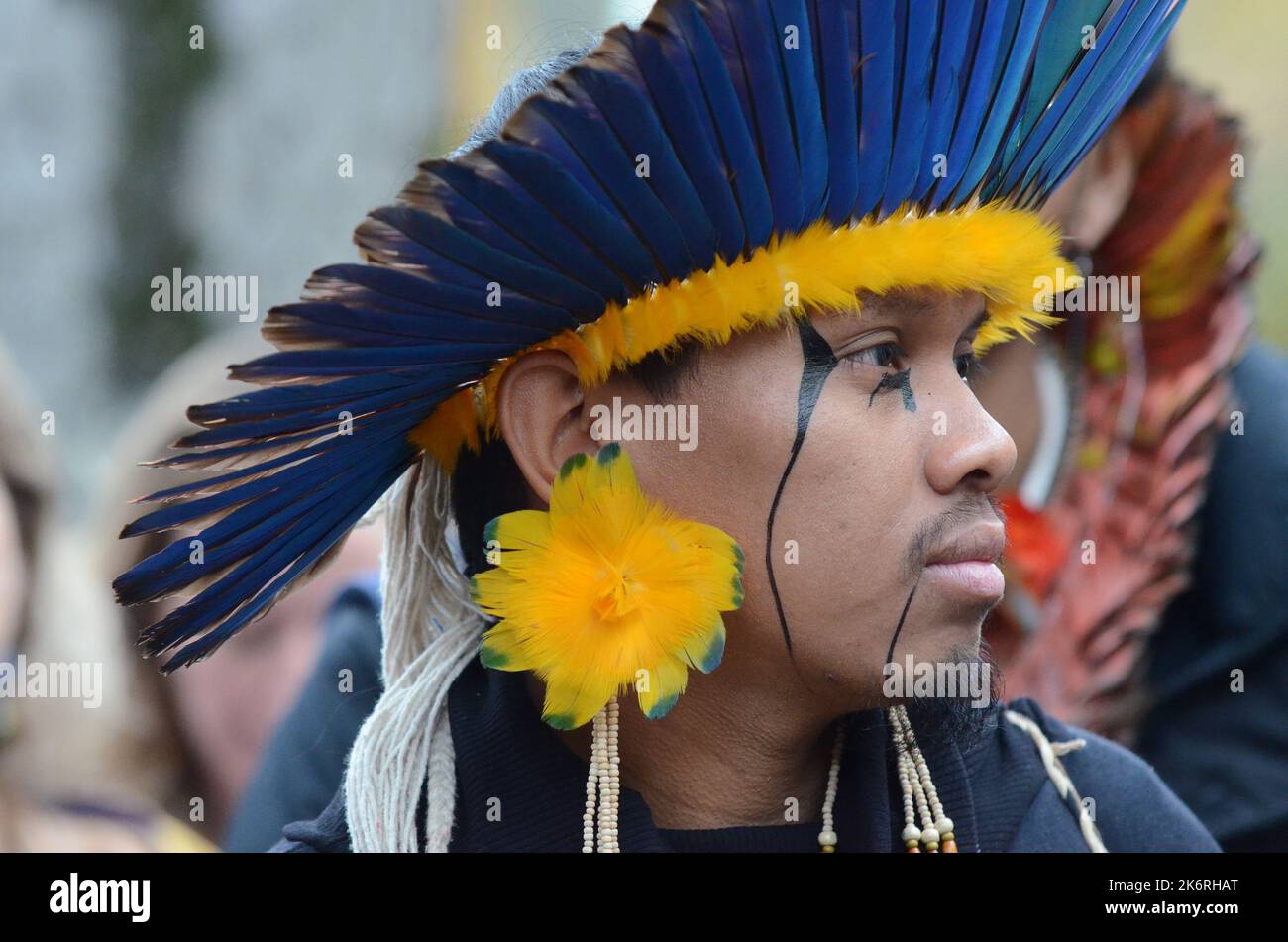 Amazonie deforestation hi-res stock photography and images - Alamy