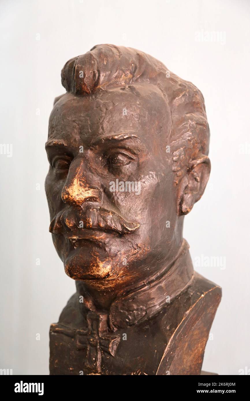 Explorer Nikolay Mikhailovich Przhevalsky (1839-1888), Przhevalsky ...