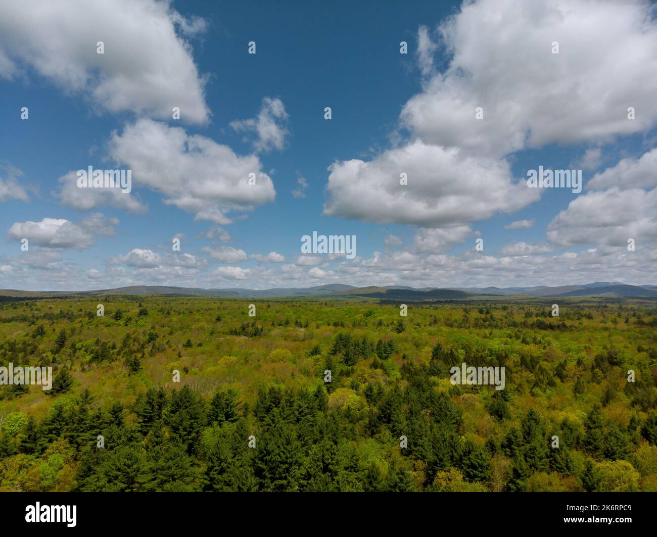 An aerial view of forest from height mountains with clouds in ...
