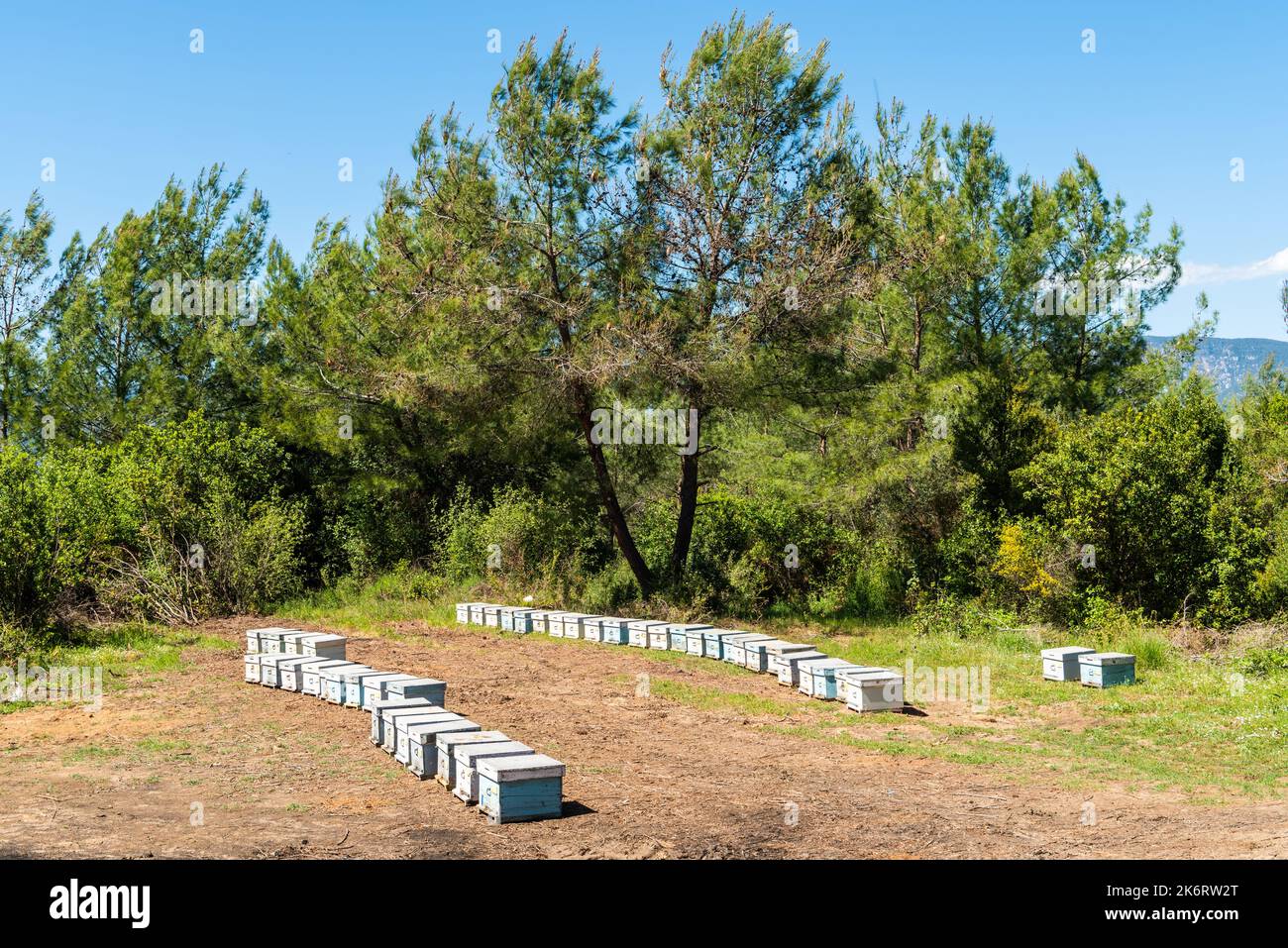 Rows of bee hives on Bozburun peninsula near Marmaris resort town in ...
