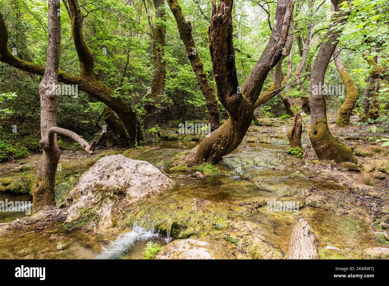 Landscape around Turgut waterfall near Marmaris resort town in Mugla ...