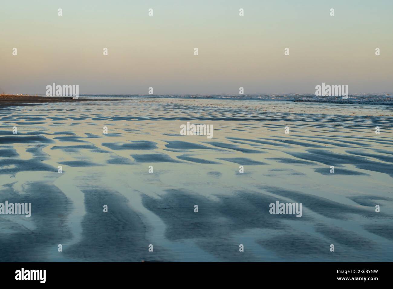 Unique sand shapes on a low-tide beach at dusk Washington state, USA ...