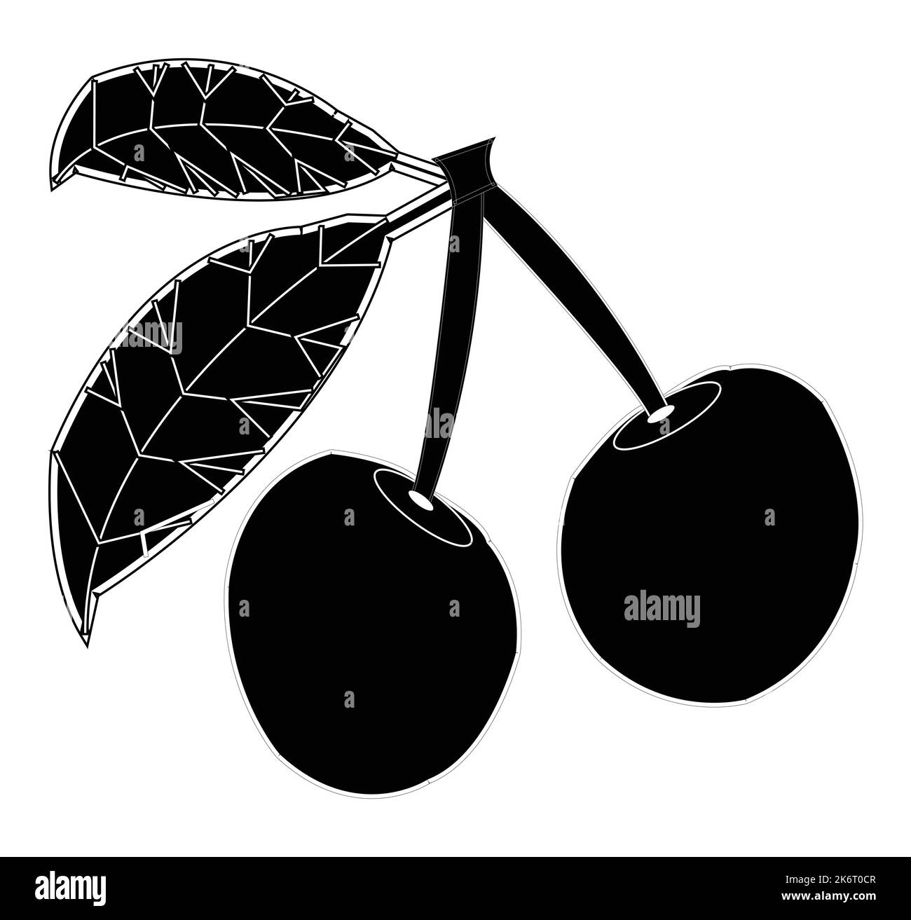 Black and white cherry with two leaf vector.Best graphic resources ...