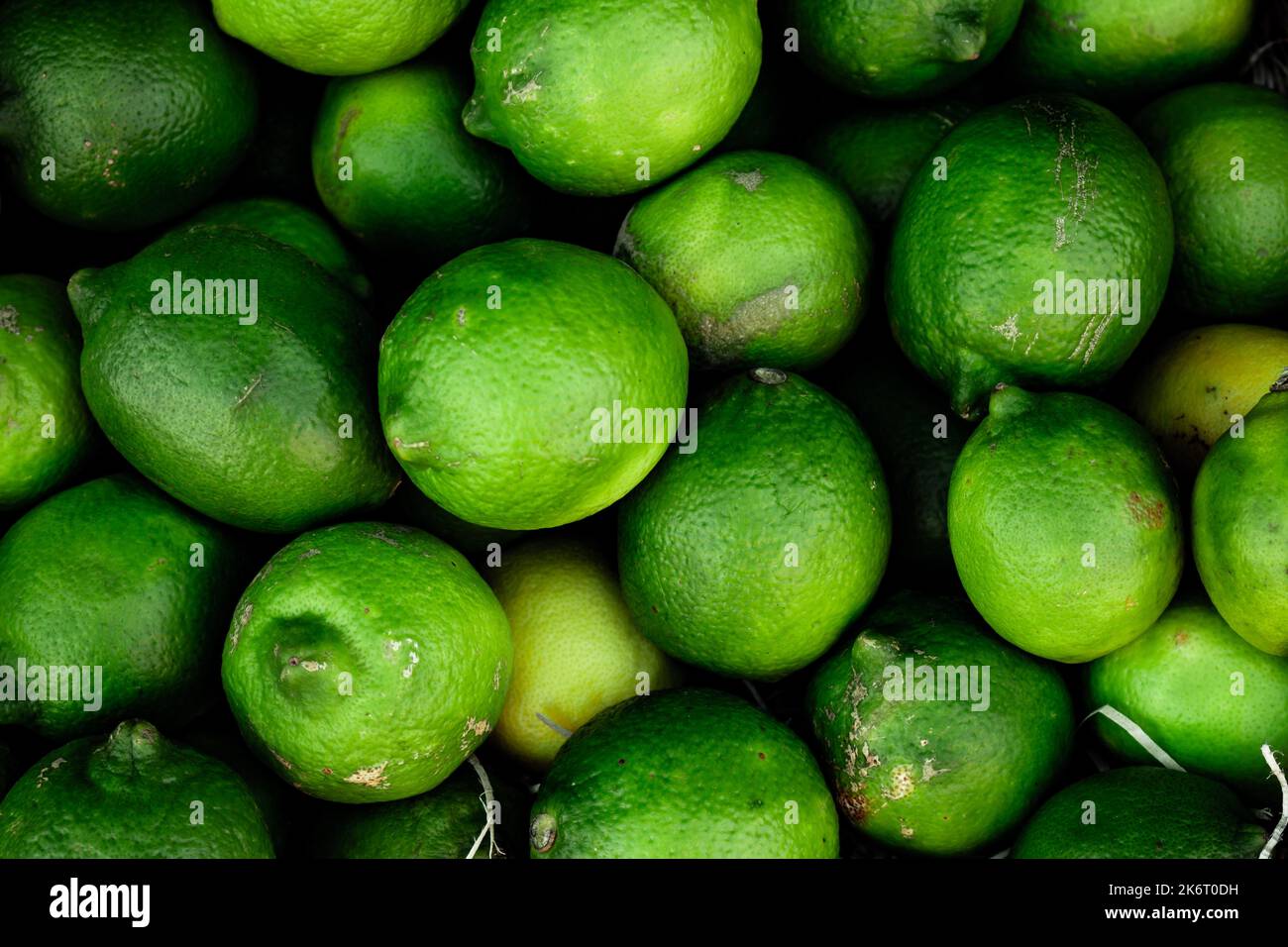 Numerous limes in the markets. Caipirinha base fruit in Brazil. Sour ...