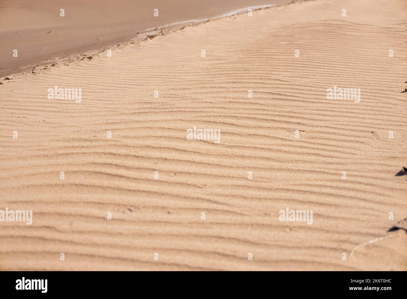 Ripples in the sand made by the wind. Texture of dunes moved by the ...