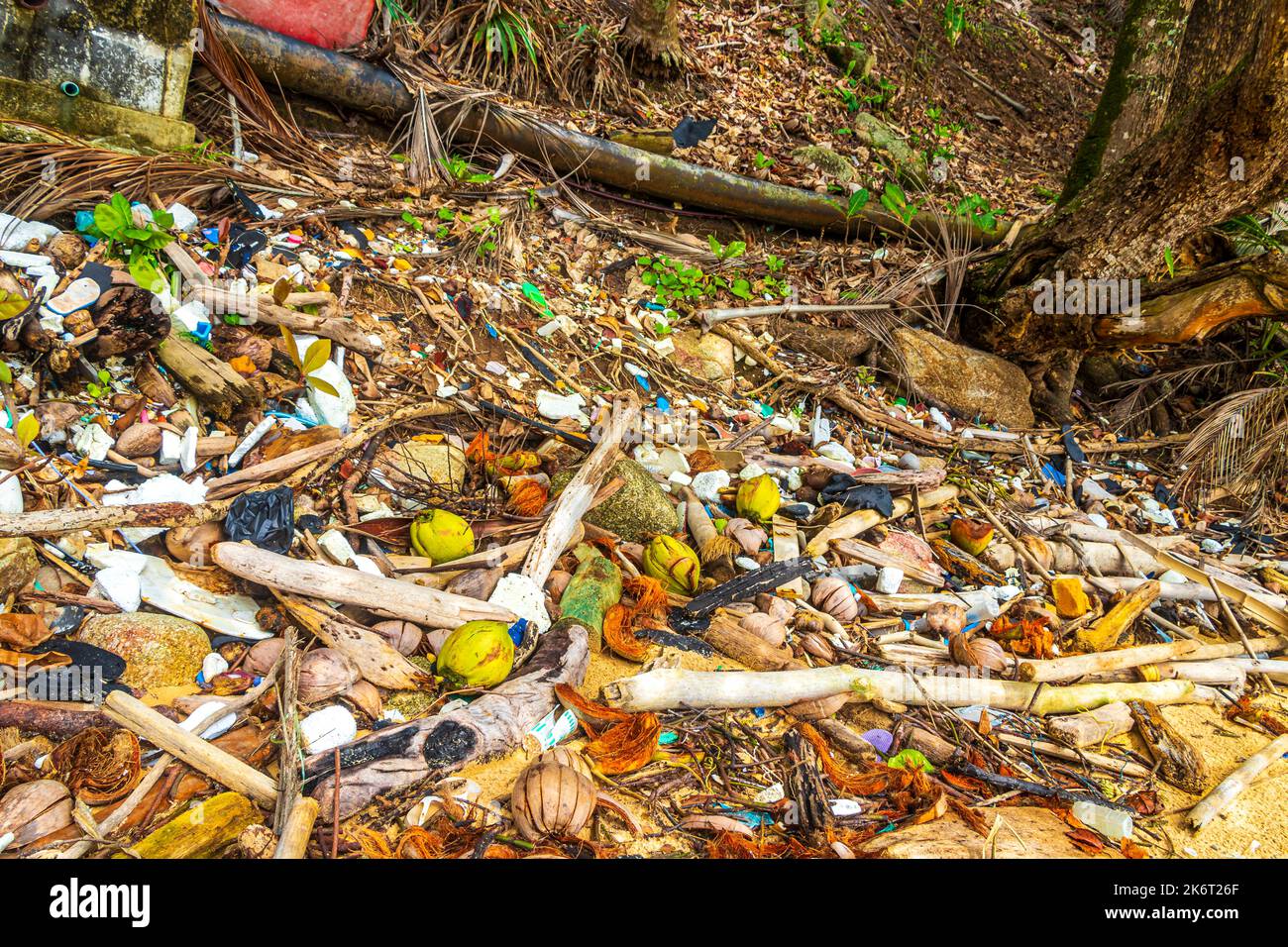 Garbage Dirt Plastic Poison Litter and Pollution on the Beach in ...