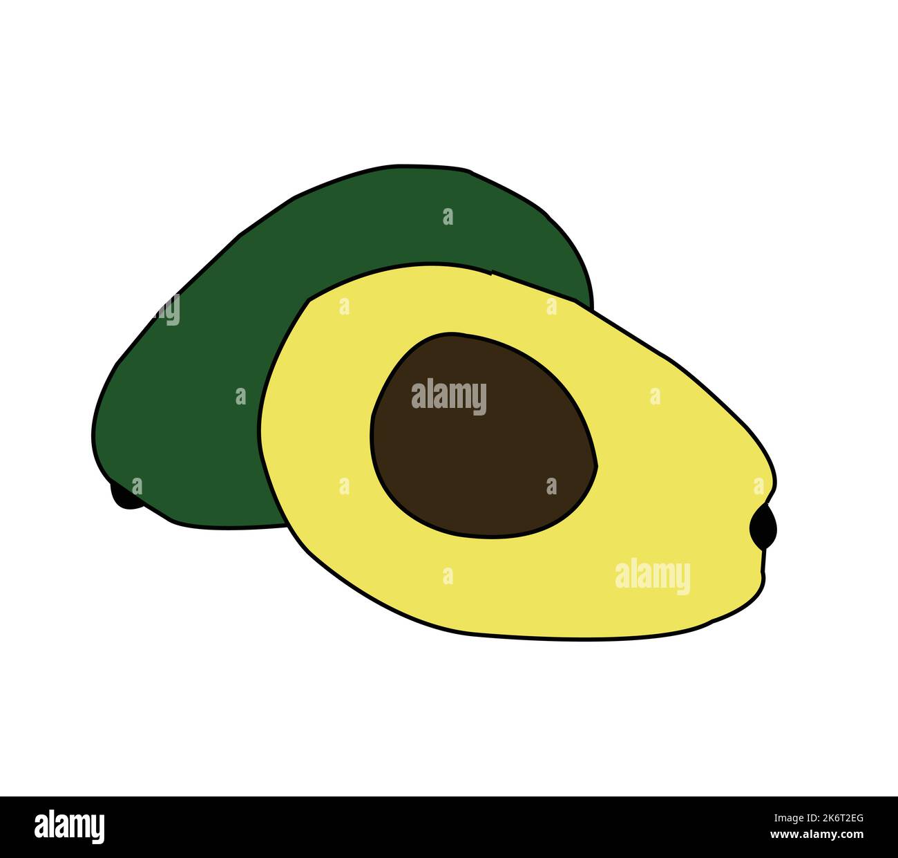 Colorful avocado vector design. Best graphic resources illustration ...