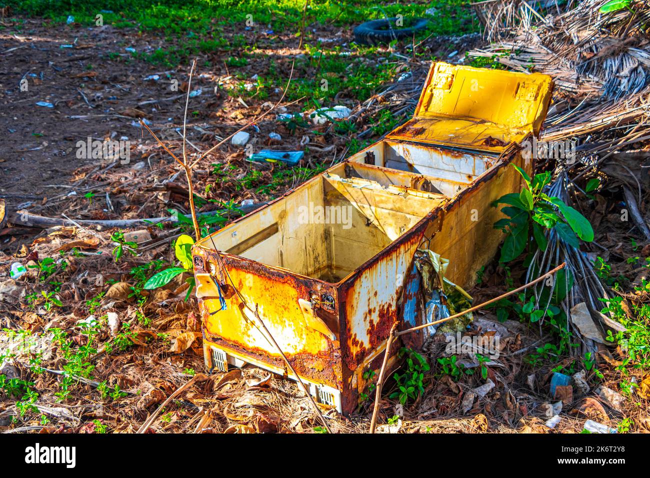 Garbage Dirt Plastic Poison Litter and Pollution on the Beach in ...