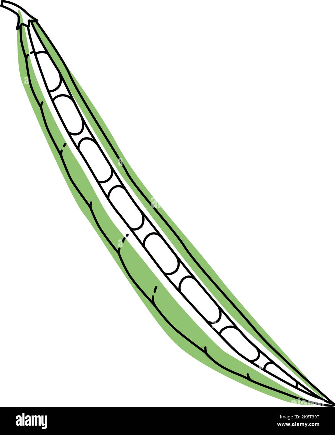 Doodle outline open green bean with spot. Vector hand-drawn ...