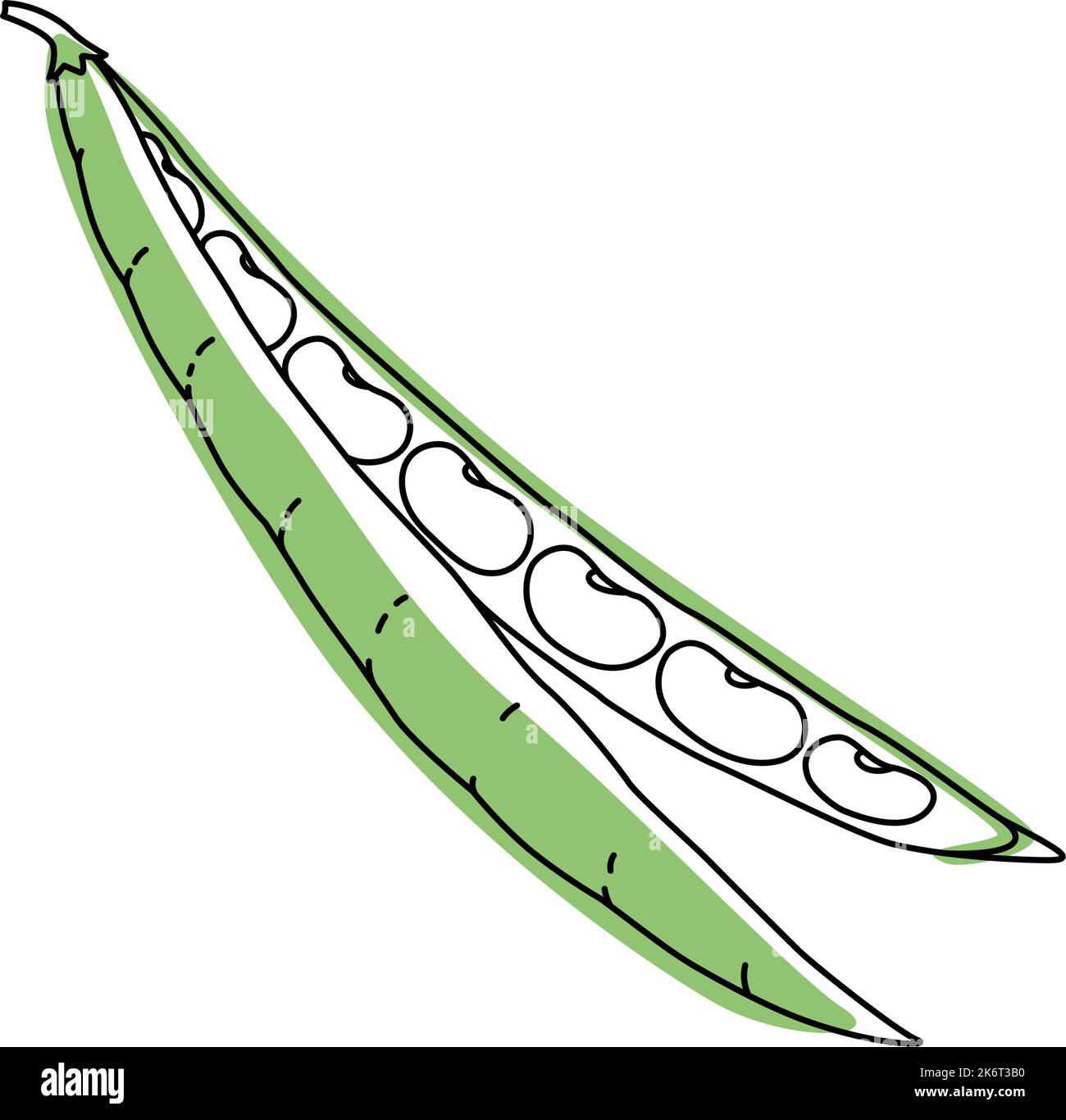 Doodle outline open green bean with spot. Vector hand-drawn ...