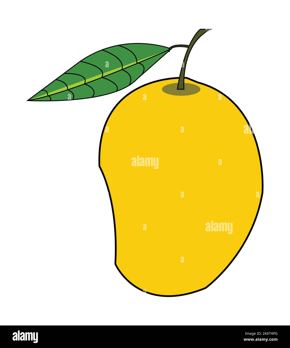 Colorful mango vector design. Best graphic resources illustration ...