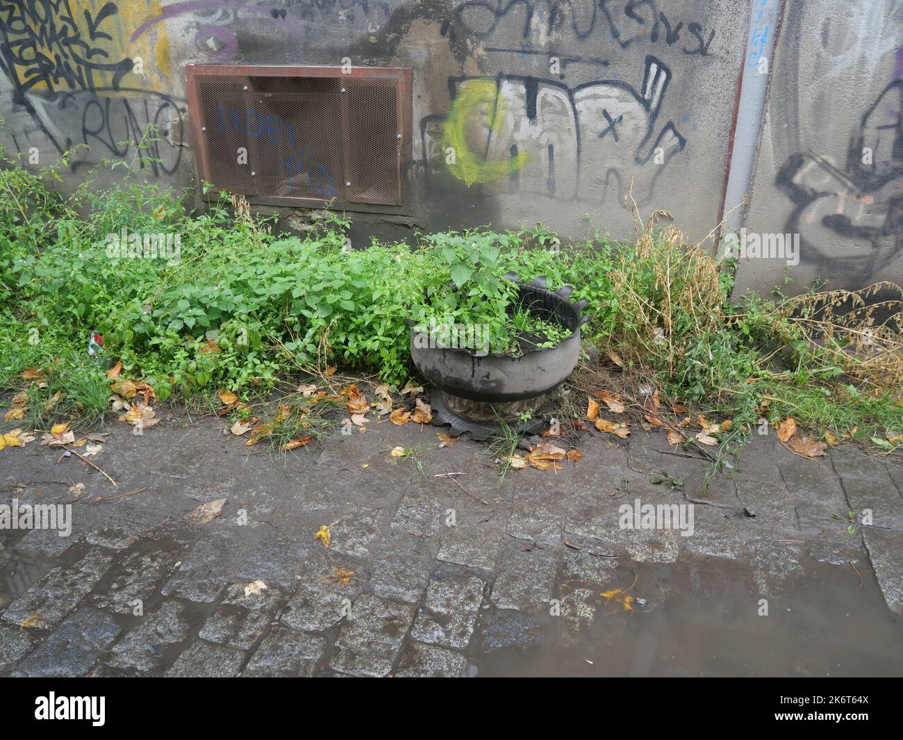 Flower pot made from old car tire along a cobblestone road and with an ...