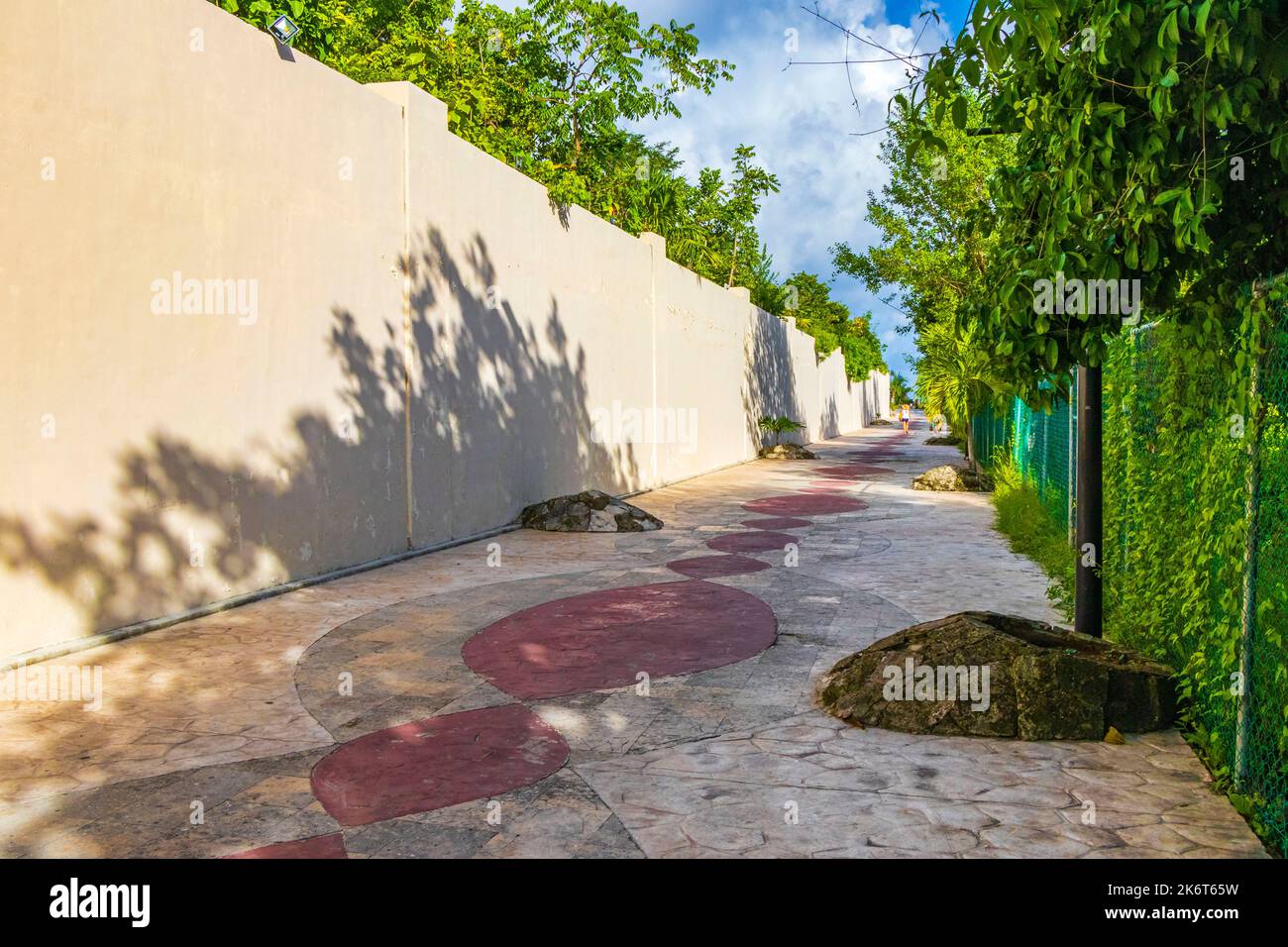 Natural entrance and path to the tropical mexican beach playa 88 in ...