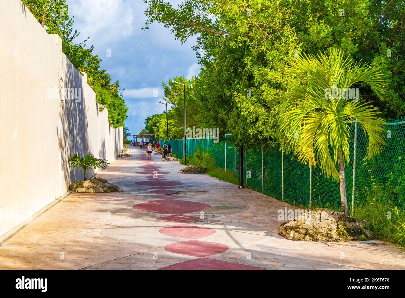 Natural entrance and path to the tropical mexican beach playa 88 in ...