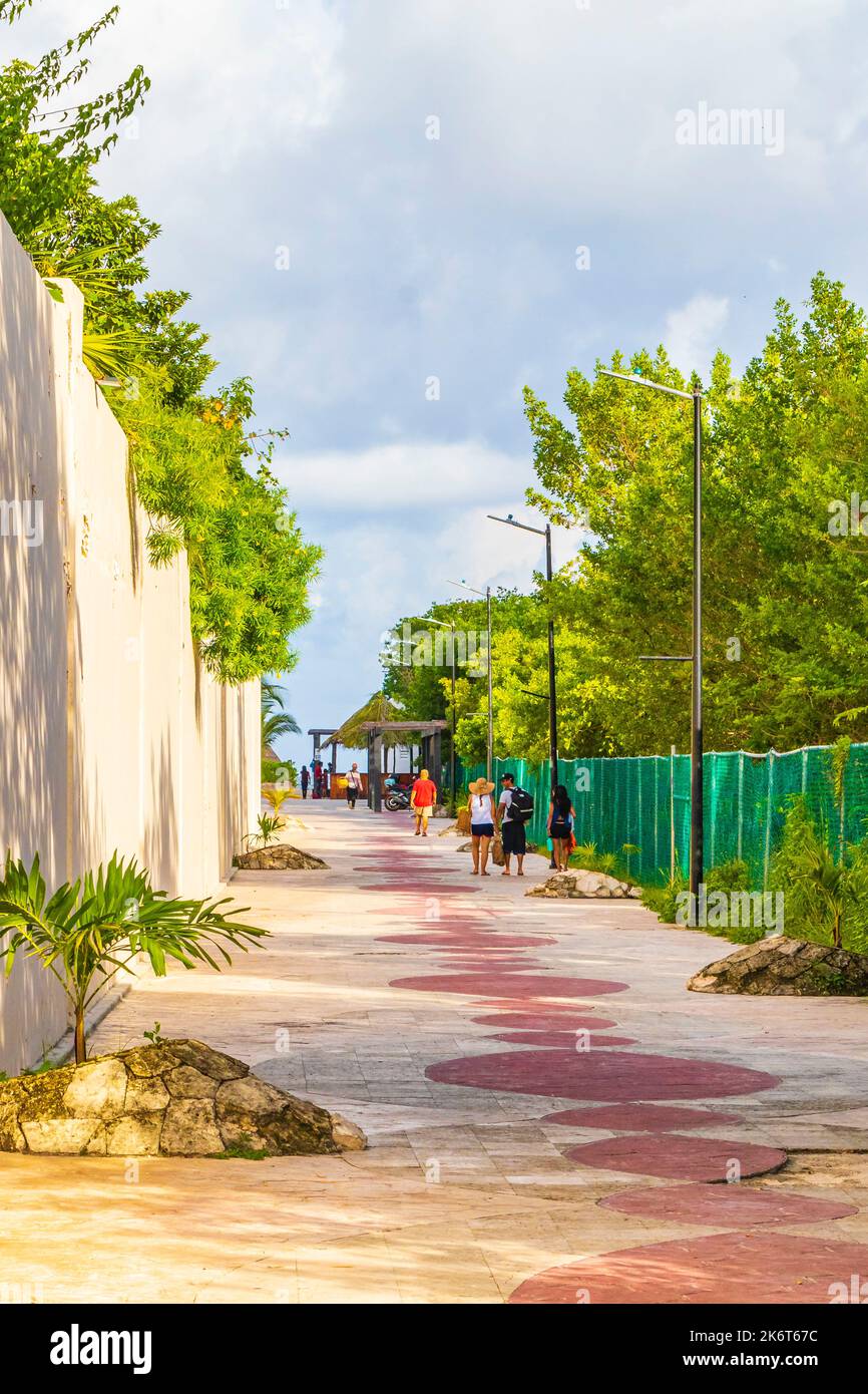 Natural entrance and path to the tropical mexican beach playa 88 in ...
