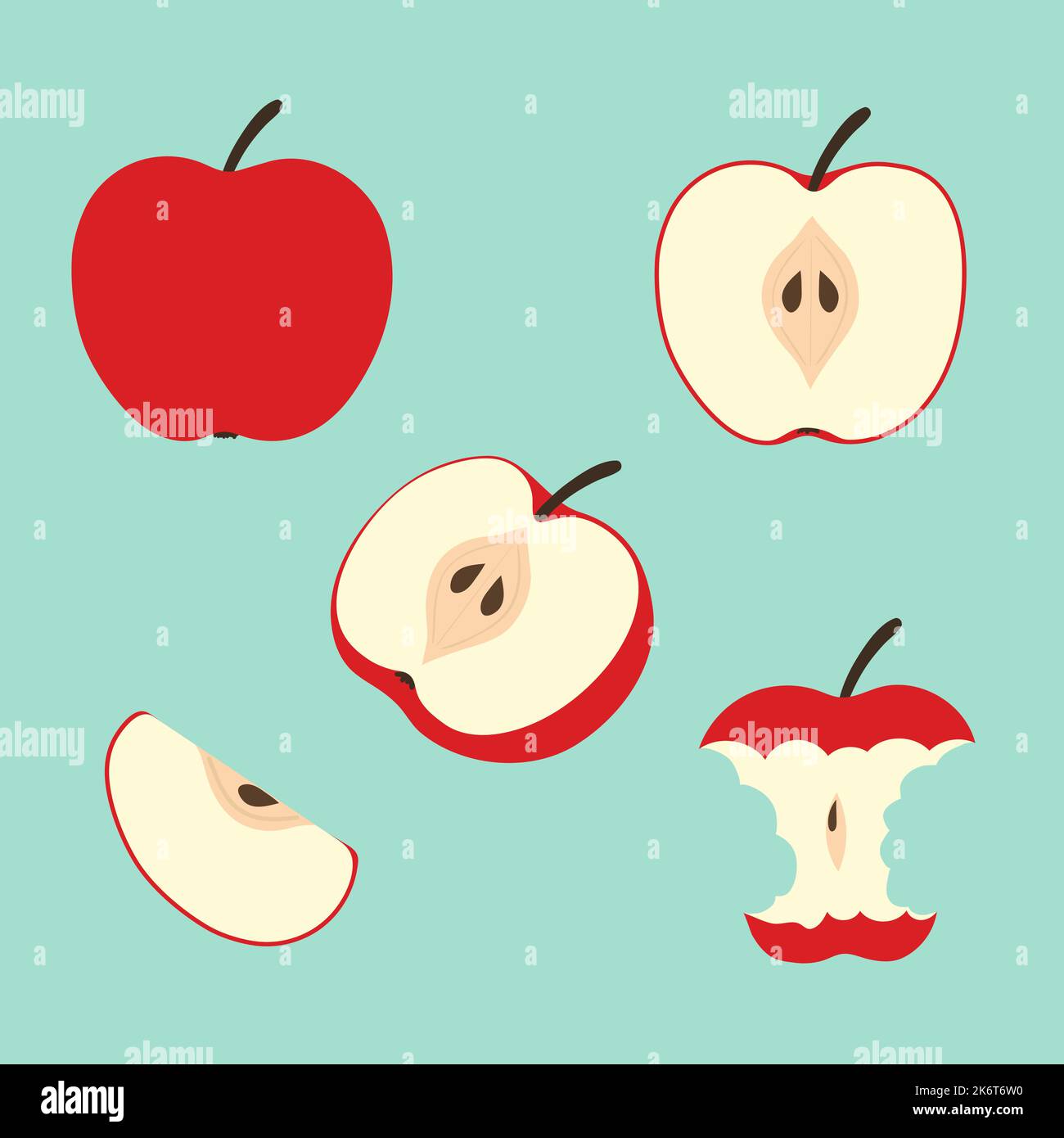 Red apple vector illustration. Set of sliced apples Stock Vector Image ...