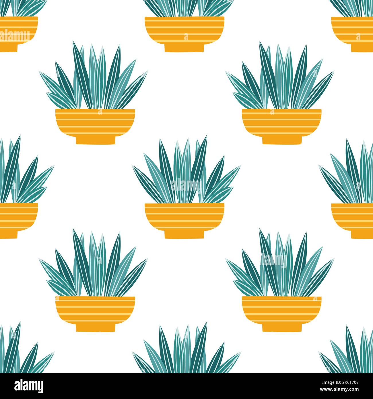 Houseplants vector vectors hi-res stock photography and images - Alamy
